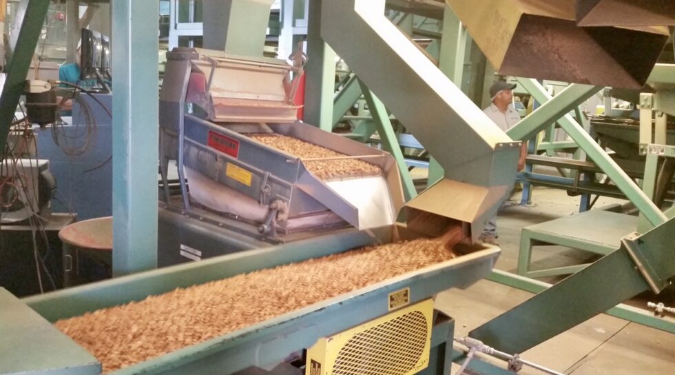 Almonds: From Tree to Table - Heather Mangieri Nutrition