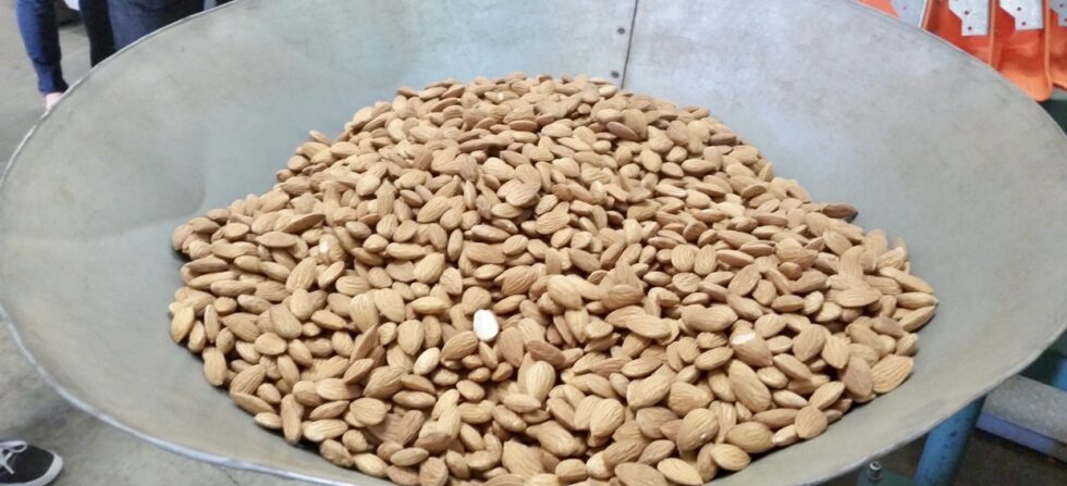 Almonds: From Tree to Table - Heather Mangieri Nutrition