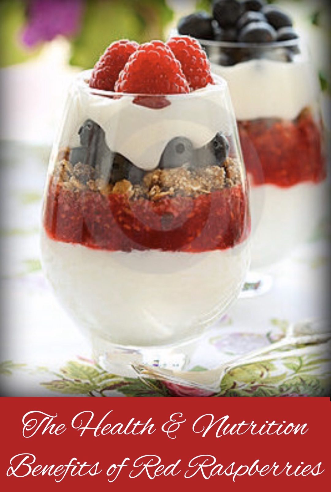 The Benefits of Eating Red Raspberries - Heather Mangieri Nutrition