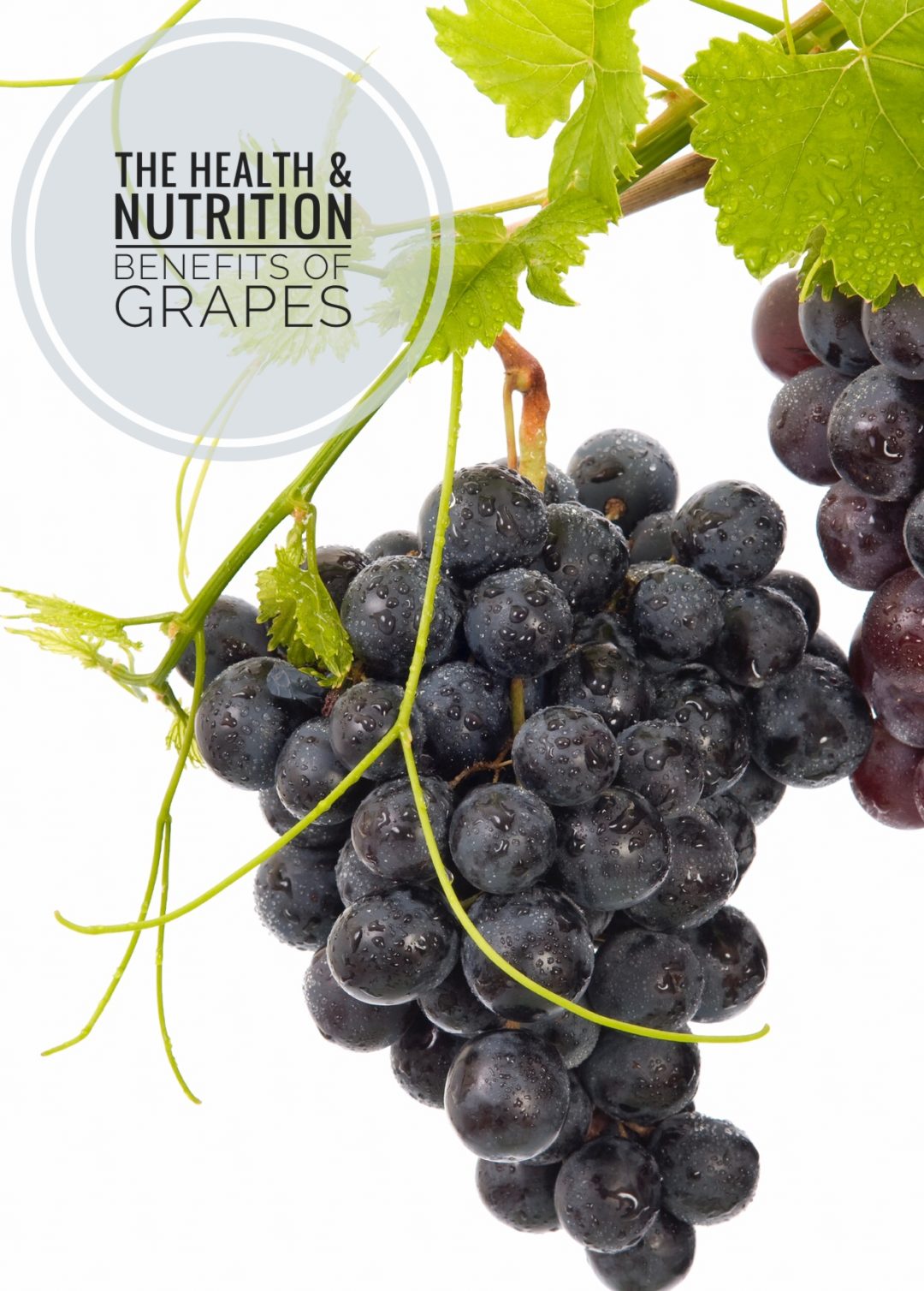 The Nutrition and Health Benefits of Grapes - Heather Mangieri Nutrition