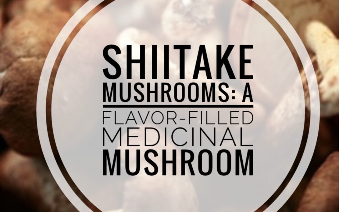 Shiitake Mushrooms: A Flavor-Filled Medicinal Mushroom - Heather ...