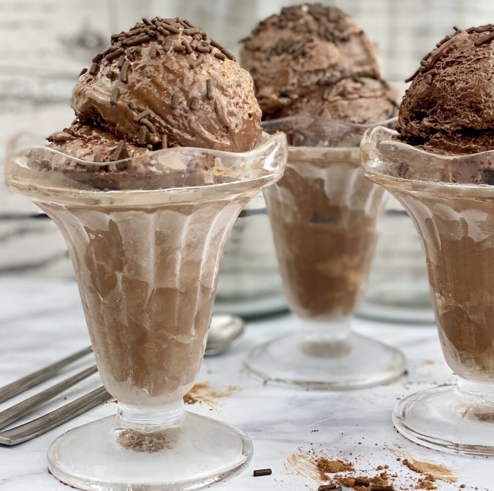 Protein Packed, Low-Fat Chocolate Ice Cream - Heather Mangieri Nutrition