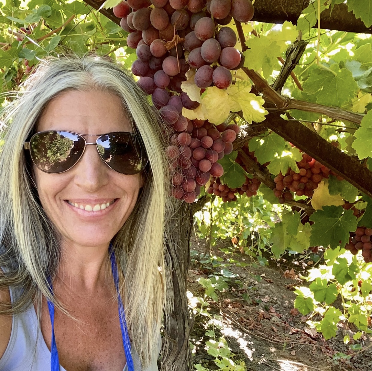 Farming Of Today: How Technology & Innovation Help Grow Safe ...